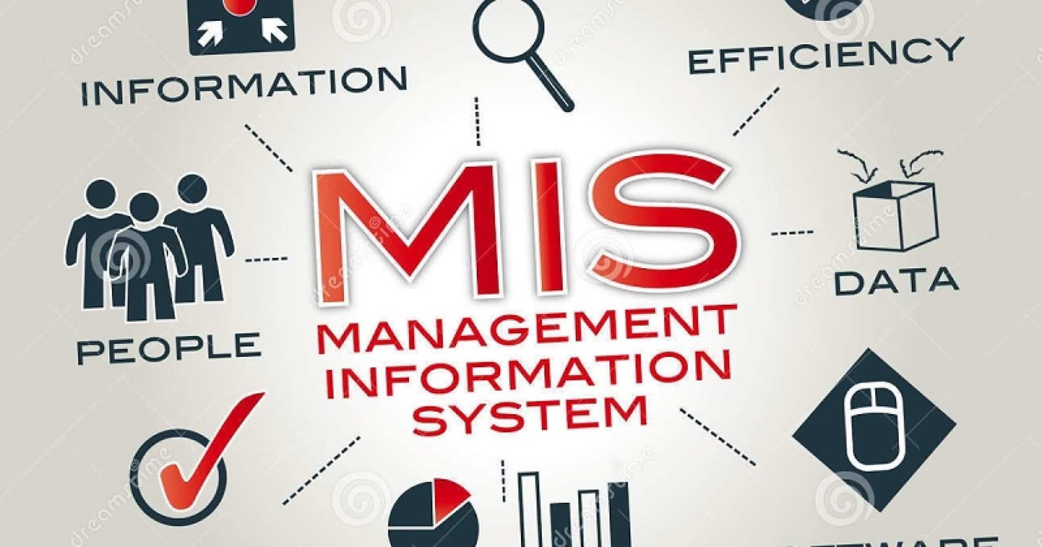 MIS vs. ERP: What's the Difference? - TechUseful MIS vs. ERP: What's the Difference? - TechUseful